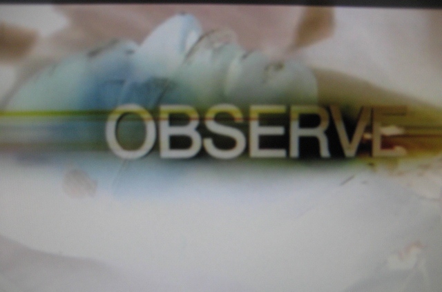 Love Liberation Observation – "Just Another BlaH BlaH BlaH BloG."